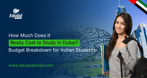 How Much Does It Really Cost to Study in Dubai? Budget Breakdown for ...